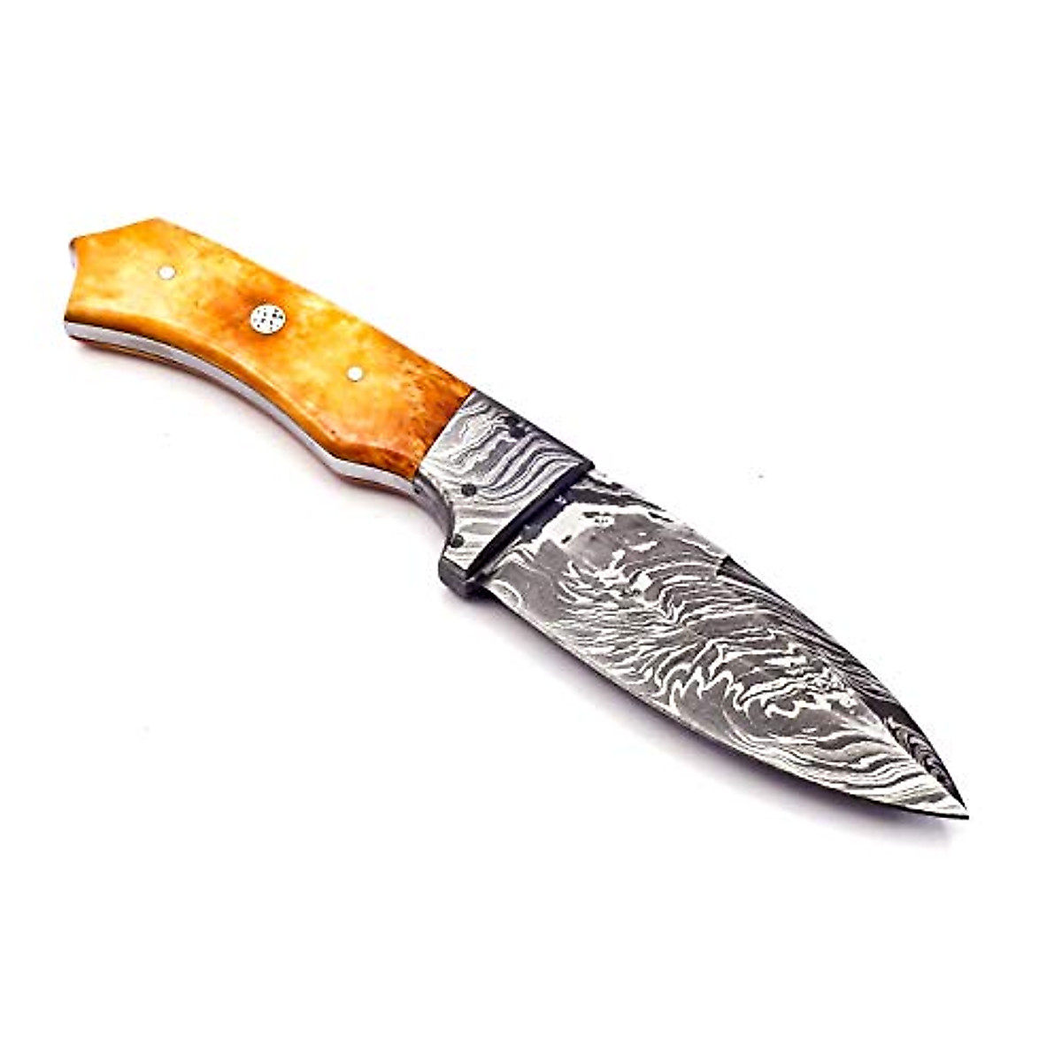 Nooraki SK-REG 44 Custom Handmade Damascus Steel Knife, Hunting knife, Camping knife, Survival Knife, Coloured Bone Handle, Full Tang with Leather Sheath