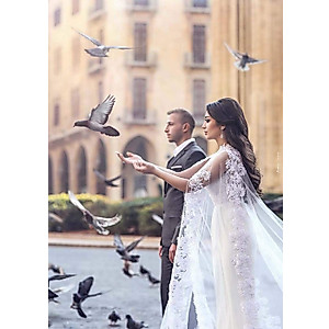 Kelaixiang Women Veil Cape Tulle Lace Applique 3M 4M Wedding Capes Bridal Wraps Long Train Shawls Cloak