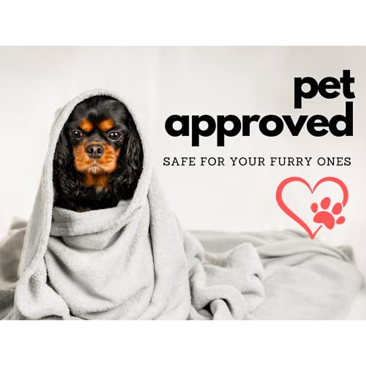 Perfect Fit SoftHeat - Queen Micro-Fleece Heated Blanket - Luxuriously Warm & Soft Electric Blanket, Patented Low-Voltage Technology (Natural, Queen)