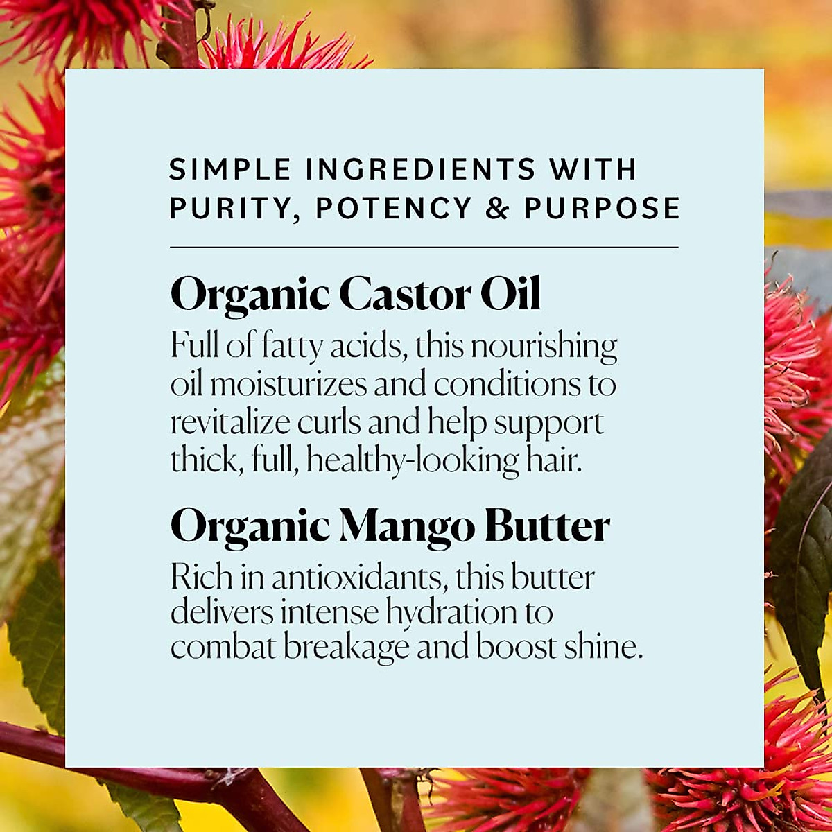 Sky Organics Curl Care Bio-Based Treatment Mask for Hair USDA Certified Bio-Based to Repair, Strengthen & Soften Curls, 8 fl. Oz