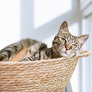 MewMewLand Natural Cat Wicker Bed Basket, Handmade Braided Cattail Leaf Kitten Bed with Soft Cushion Medium Oval