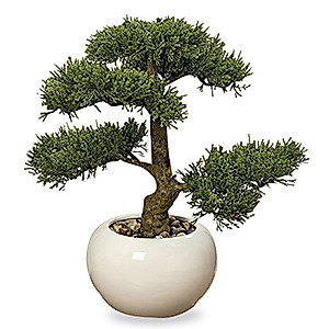 Realistic Faux Cedar Bonsai Tree, Houseplant, White Round Pot, Pebbles, Padded Bottom, Over 1 Ft Tall, (H33cm)