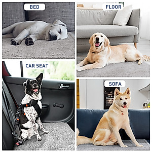 Kritter Planet Waterproof Dog Blanket, Reversible Pee Proof Couch Cover for Pets, Furniture Protector for Sofa Bed, Washable, Hair Resistant, Stain Proof