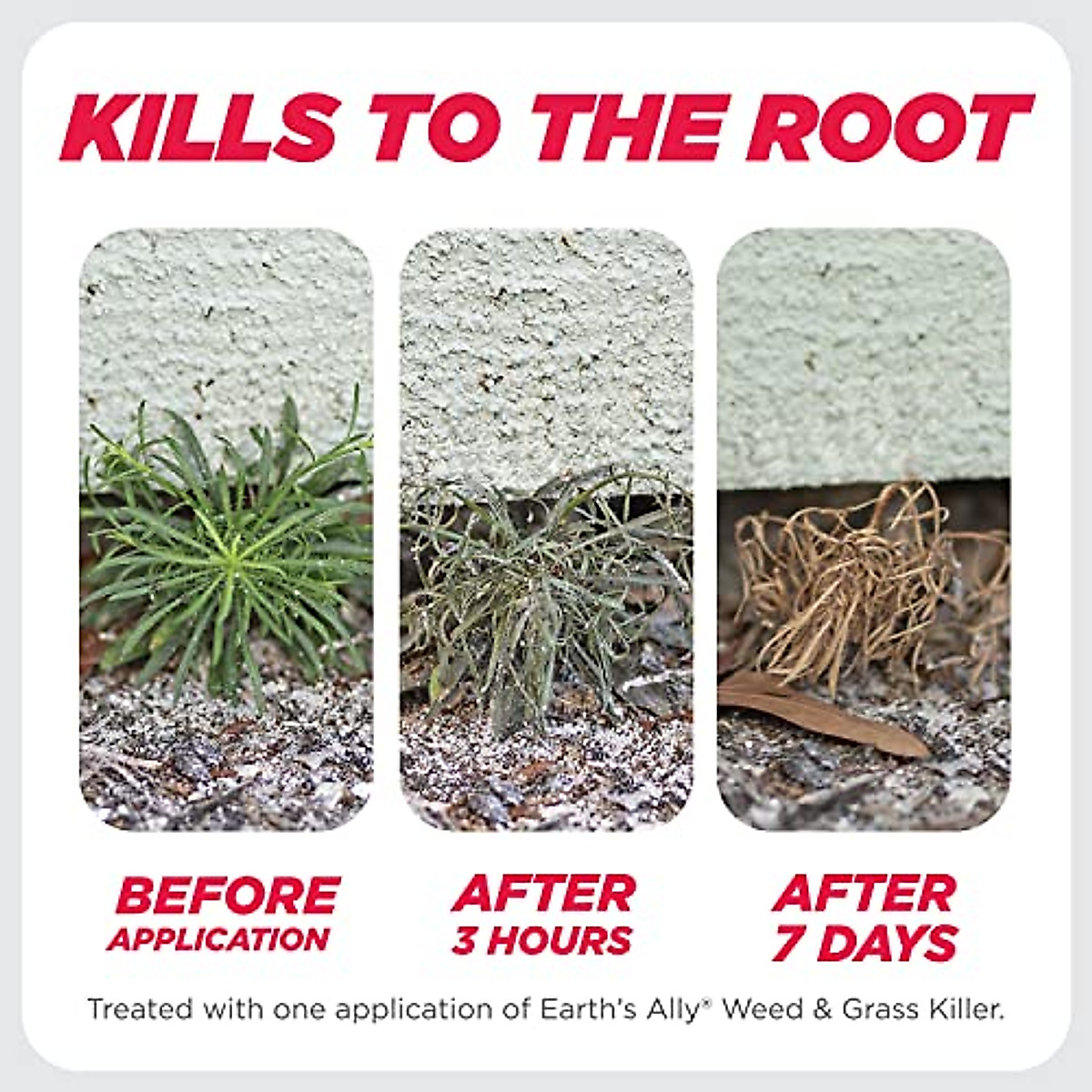 Earth's Ally Weed and Grass Killer | Safe, Pet-Friendly Natural Weed Control Spray for Patios, Driveways & Sidewalks, Ready-to-Use 24oz - Bee Safe, No Glyphosate Weed Killer