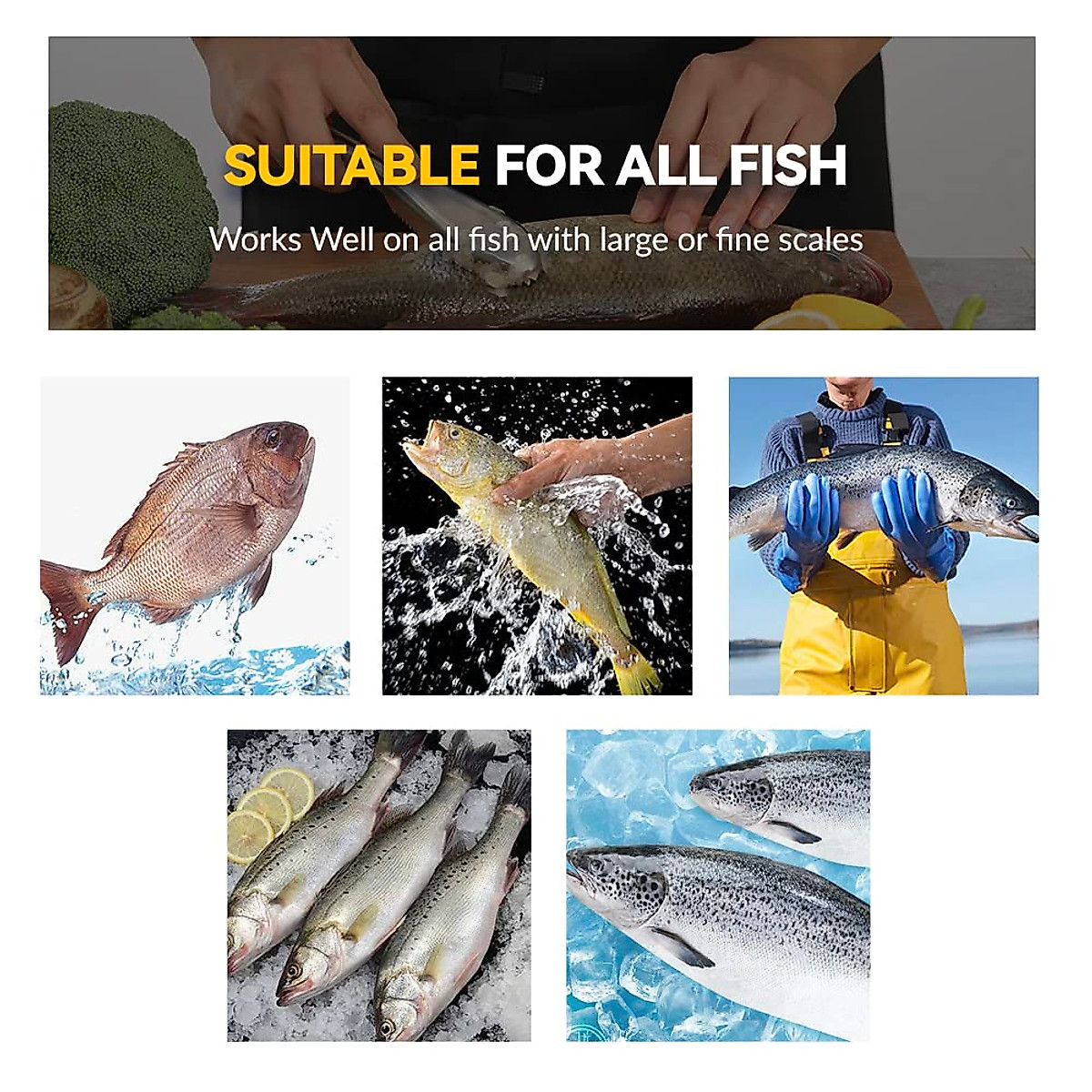 ADORAMBLING 2 Pieces Fish Scaler Tool Stainless Steel Fish Scaler Remover No Mess - Portable Fish Scale Remover Fish Descaler Tool - Durable Fish Scraper Fish Cleaner Tool for Fish Scaling Cleaning