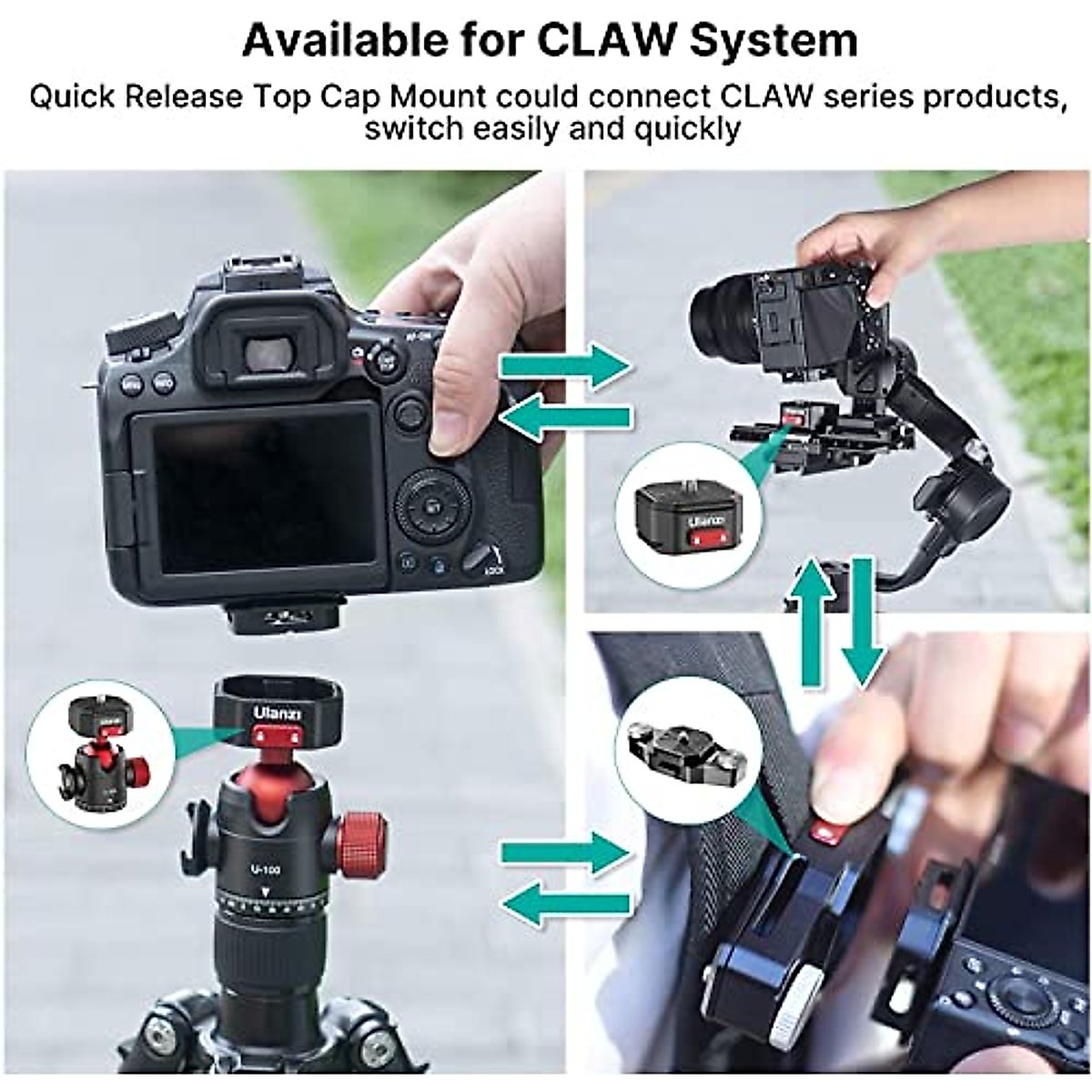 ULANZI Claw Quick Release Base Mount Upgraded Version Tripod QR Camera Mount Adapter Suitable for Tripod（Only Base Mount）