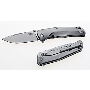 Lion Steel TRE Titanium Framelock Gray