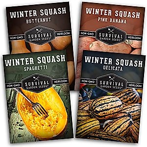 Survival Garden Seeds Winter Squash Collection Seed Vault - Non-GMO Heirloom Varieties for Planting and Growing in The Vegetable Garden - Butternut, Delicata, Pink Banana, and Spaghetti Squash