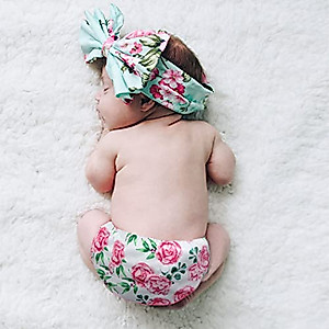 wegreeco Washable Reusable Baby Cloth Pocket Diapers 5 Pack + 5 Bamboo Inserts (Pink Girly) One Size