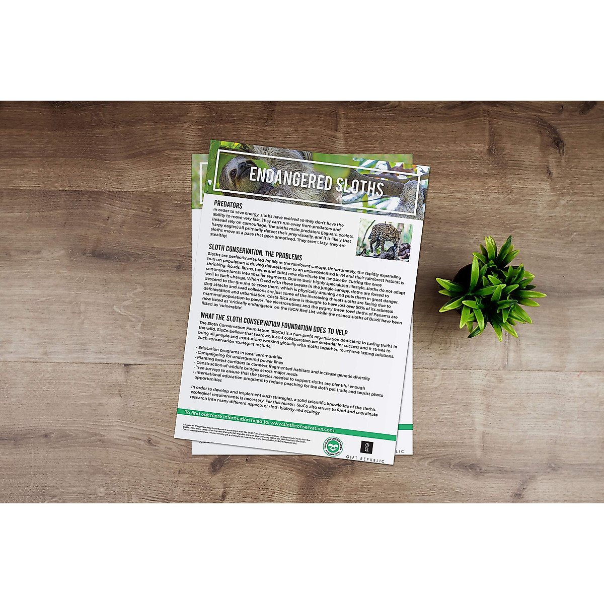 Gift Republic Sloth Adopt It, One Size, Multicolor