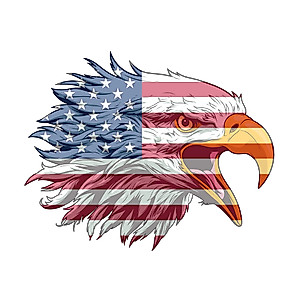 Rogue River Tactical Large 10"x6" American Eagle USA Flag Car Decal Window Die Cut Patriotic Auto Bumper Sticker Vinyl Decal for Car Truck RV SUV Boat Support US Military