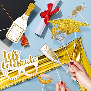 Cheerland Champagne Theme Photo Props for Silver and Gold Grad Party Photo Booth Eye Glasses, Wine Bottle, Mustache, Lips Party Decoration for Photo Background