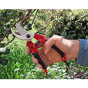 TABOR TOOLS S821A Bypass Pruning Shears, Makes Clean Cuts, Great for S-M Size Hands. Professional Sharp Secateurs, Hand Pruner, Garden Shears, Clippers for The Garden.