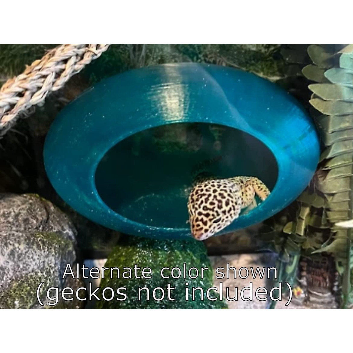 Stroodies Giant Bubbleloft Hide for Arboreal Geckos | Especially Adult Cresties | Includes 4X Suction Cups | (LeafGreen)