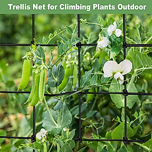 BSTPCOO Scrog net 4x4 Trellis Net for Grow Tent,Heavy Duty Elastic Trellis Net with Hooks for Indoor Plant Growing Tents Garden Plant Net