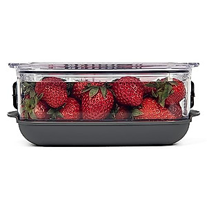 ProKeeper+ by Progressive Stackable Produce ProKeeper Storage Container with Stay-Fresh Vent System (PKS-912 (1.2 qt Berry Keeper))
