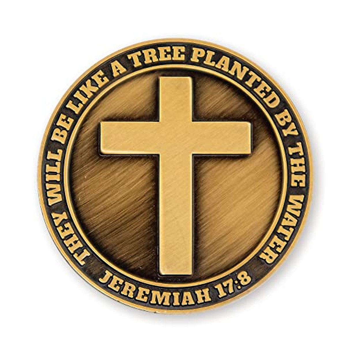 Trust in The Lord Lion Challenge Coin, Bulk Pack of 10 Christian Pocket Tokens, Bible Study Supplies for Men, Bible Verse Worry Coin for Prayer, Religious EDC Coins for Police & Military Veterans