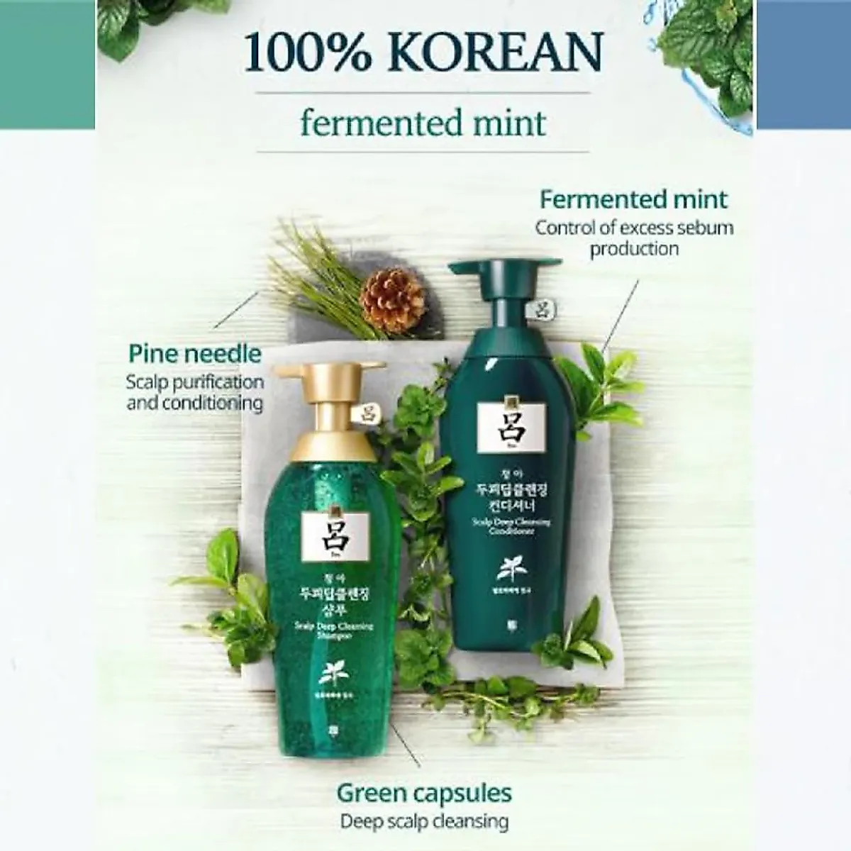 Ryo Scalp Deep Cleansing & Cooling Shampoo 500ml (16.9oz) Excess sebum care, Shampoo for smelly scalp, Fermented mint and other natural ingredients, Anti- Dandruff treatment