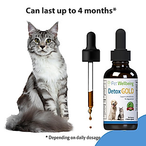 Pet Wellbeing Detox Gold for Cats - Vet-Formulated - Gentle Detoxification & Elimination Support - Natural Herbal Supplement 2 oz (59 ml)