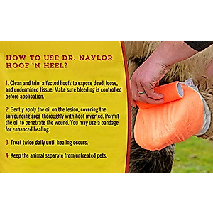 Dr. Naylor Hoof 'N Heal, Hoof Rot Foot Rot Wound Care, 16oz, Sheep Goat Cow Horse, 1-pack