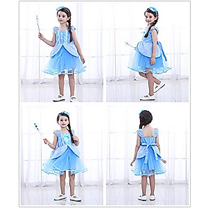 Party Chili Princess Fairy Costume Toddler Girls Birthday Dress Up with Tiara (2T 3T)