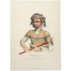 Shau-Hau-Napo-Tinia, An Ioway Chief.