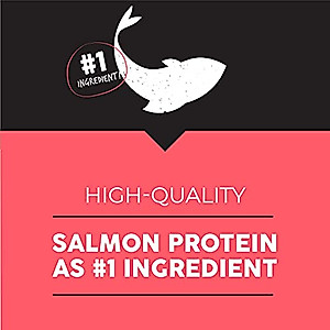 Ultimates Birsppy Sensitive with Salmon Protein Dry Dog Food, 28 lb