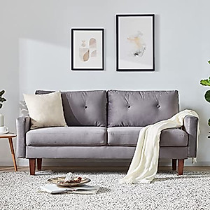 Dreamsir 69" Modern Cream Love Seats Sofa Couch Furniture, Velvet Fabric Mid Century Couch for Living Room, Bedroom, Apartment/Easy, Tool-Free Assembly (Sofa, Gray)