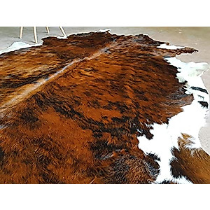 ecowhides | Genuine Cowhide Rug, Brindle White Belly Brazilian Cowskin, Area Rug, Western Home Decor, Premium Quality, Living Room Accessories, (X-Large) 7 x 6 ft