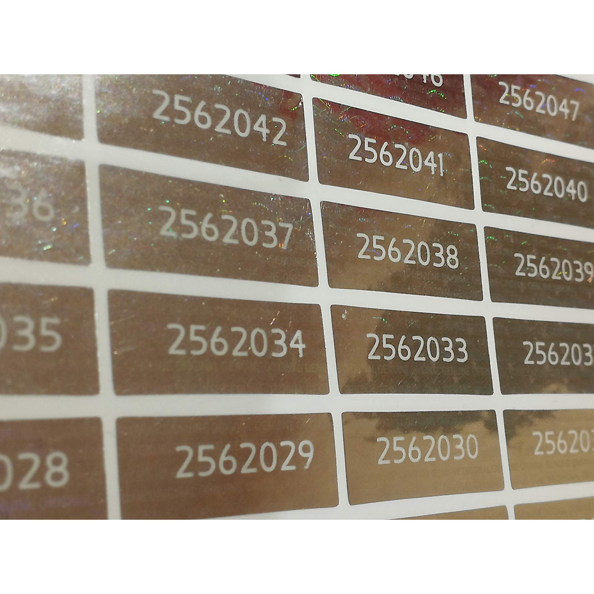 Holomarks 156 pcs Hologram Labels with Serial Numbers, Warranty Stickers Seals 1.18 x 0.39 in
