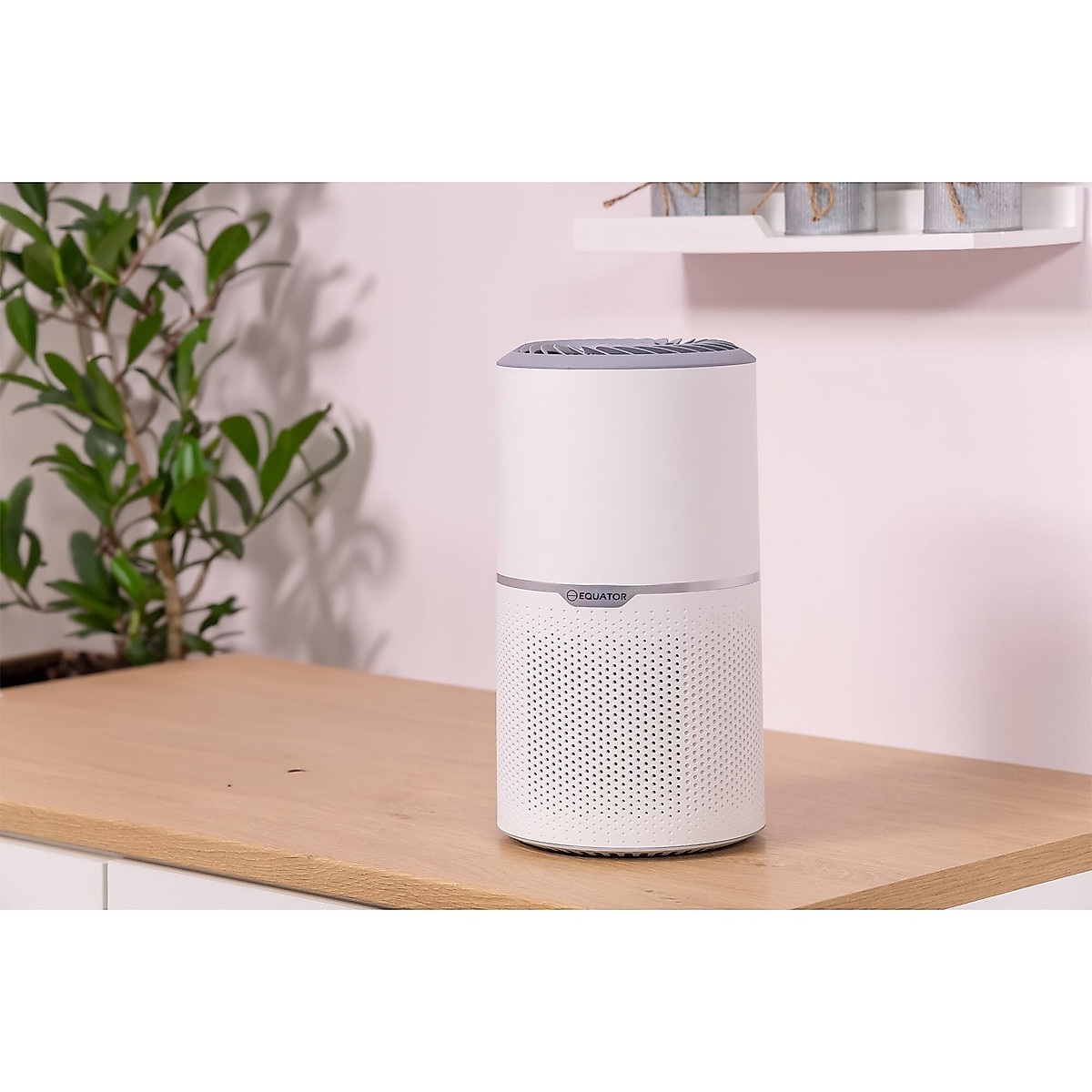 Equator HEPA Air Purifier with PET Option 269sf 110V