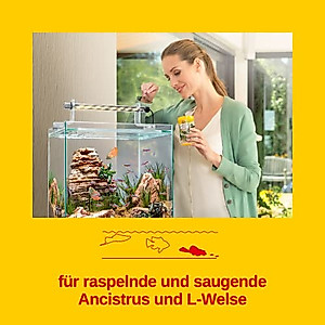 Sera 508 Catfish Chips 13.4 oz 1.000 ml Pet Food, One Size