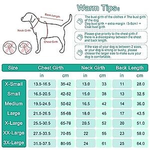 ALAGIRLS Reversible Dog Coat for Cold Weather, Winter Waterproof Dog Vest Jacket, Thick Padded Warm Dog Coat Pet Apparel Outfits with Harness Hole, Turquoise XL