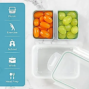 carrotez Food Storage Containers 2 Compartment, Meal Prep Container, Lunch Containers, Portion Control Container, BPA Free, Airtight Lids, Reusable, Snack Containers, 2 Cup (480ml)