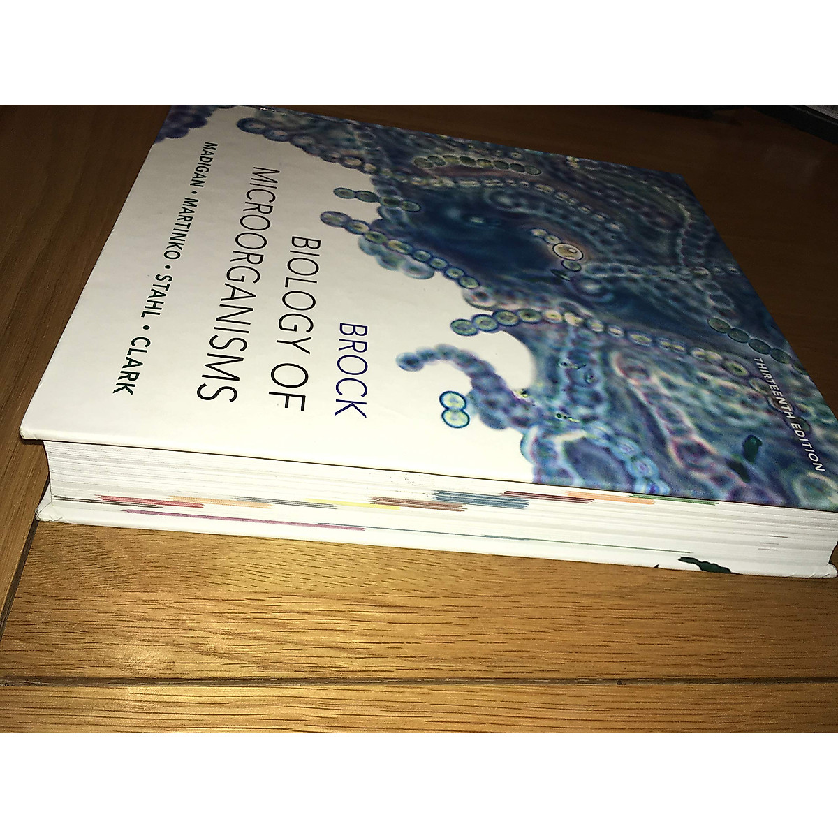 Brock Biology of Microorganisms (13th Edition)