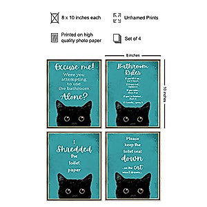 Teal Blue Bathroom Wall Decor - Funny Cat Bathroom Decor - Bathroom Rules Decorations for Women, Kitty, Kitten, Animal Lovers - Guest Bathroom - Restroom Sign - Bath Wall Decor - Powder Room Wall Art