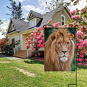 Uanvaha Lion Garden Flag Double Sided Brown Lion Head King African Grass Wild Animal Nature Welcome Small Yard Flag Seasonal Outside Decor Yard Farmhouse 12.5X18 Inch
