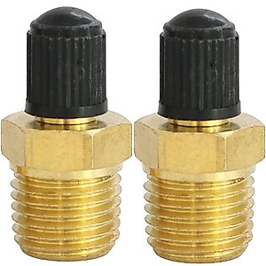 Tank Valve, 2pcs Schrader Valve Standard Valve Core with 1/4''NPT Male Threads for Air Compressor Tanks