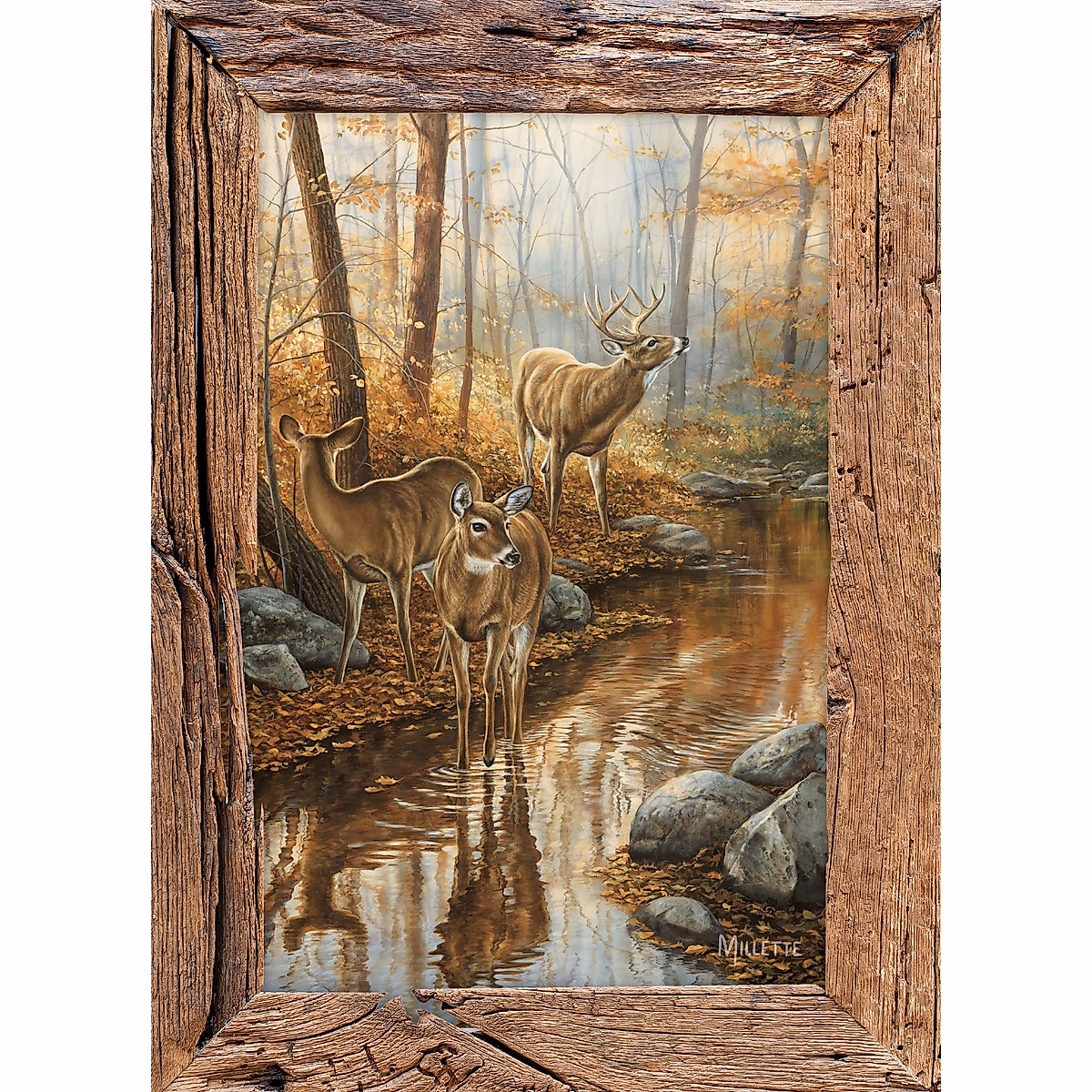 HTL Card-Boxed-Birthday-Whitetail Deer (Box of 12)