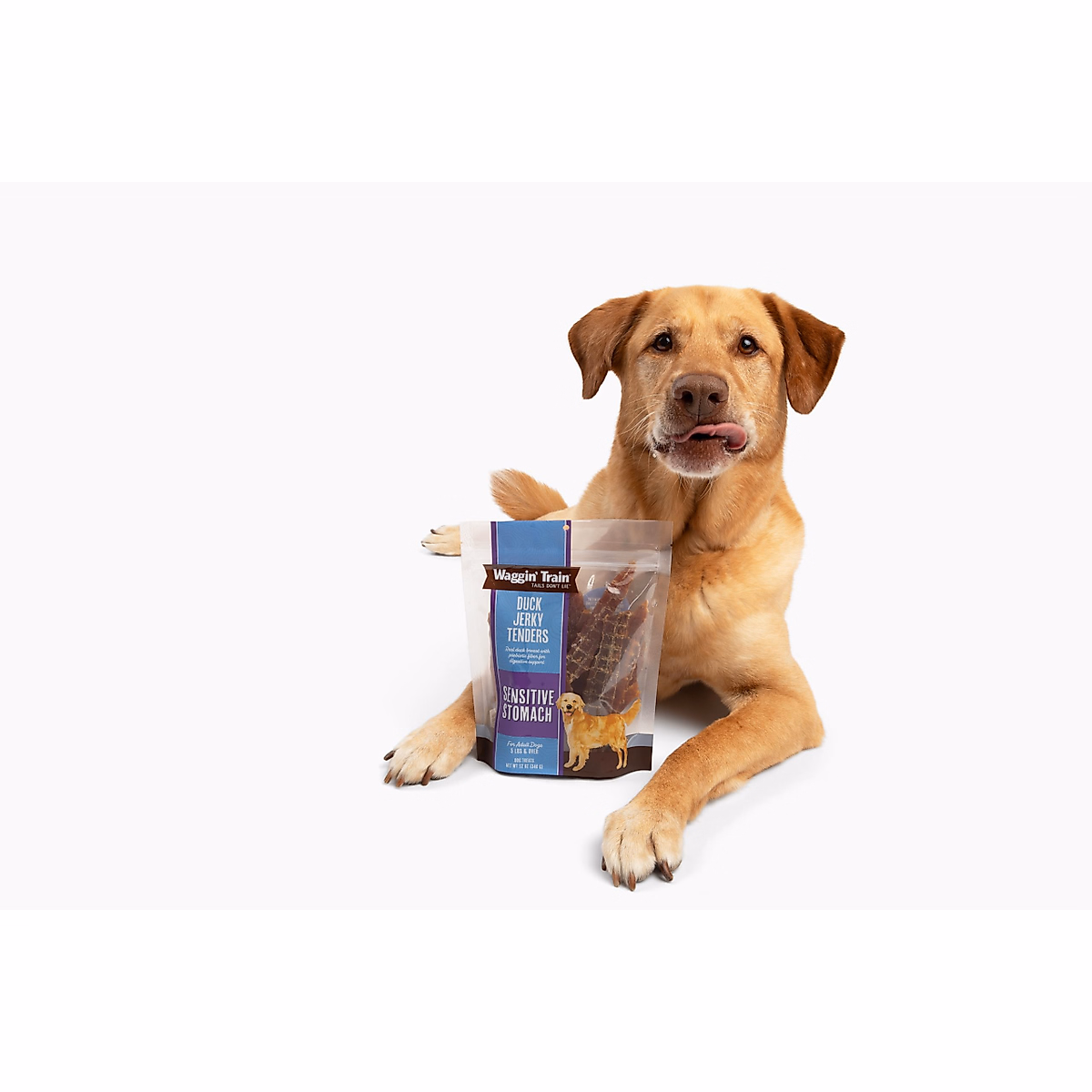 Waggin' Train Duck Jerky Tenders for Sensitive Stomach for Dogs - 12 oz Pouch - Grain Free, High Protein Dog Treat