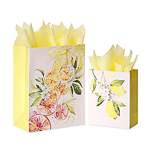 Papyrus Gift Bags with Tissue Paper (Citrus) for Birthdays, Weddings, Bridal Showers, Baby Showers and All Occasions (2 Bags, 1 Large 13", 1 Medium 9", 8-Sheets)