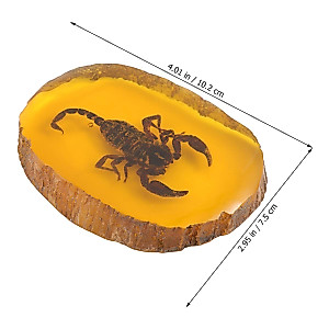 Garneck Amber Fossil Insect,Artificial Amber Insect Specimen Pendant Butterfly Scorpions Insects Amber Stone Ornament for Collection(Scorpion)