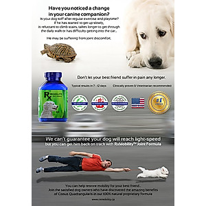 RxMobility Botanical Hip & Joint Supplement with Cissus Quadrangularis - All Natural Formula for Fast Working Pain Relief & Maximum Mobility - for Dogs