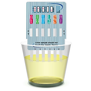 EZ Level 12 Panel Urine Drug Test Kit (1 Count)