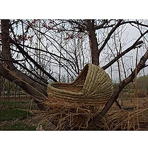 PETSOLA Parakeet/Macaw/African Greys/Budgies//Birds Pet Straw Woven Nest, L