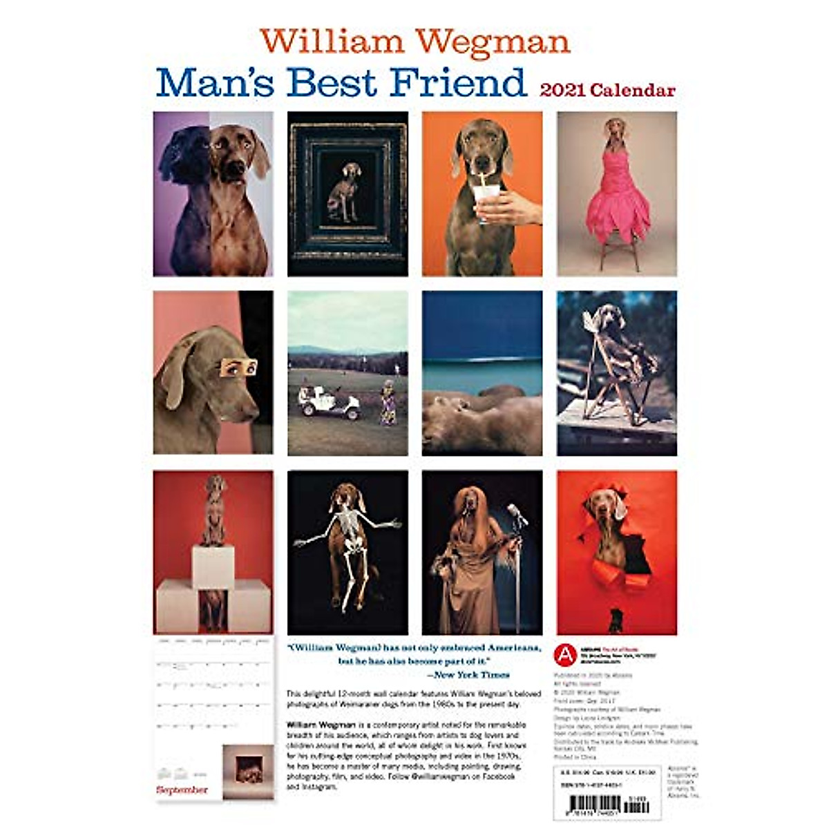 William Wegman Man's Best Friend 2021 Wall Calendar
