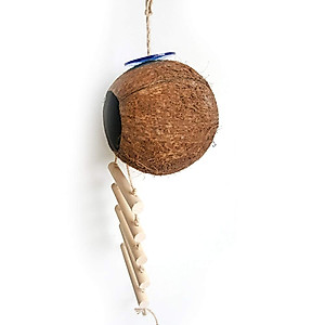 Bluelanss Bird House with Ladder - Beautiful Nesting Home and Bird Feeder - Natural Textures Encourage Foot and Beak Exercise - Natural Coconut Husk - Sustainable Materials - Durable Habitat C