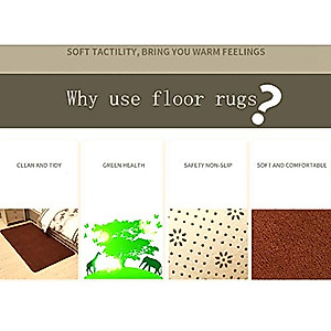 Solid Rectangular Area Rugs Soft Living Room Children Bedroom Rug Coral Fleece Anti-Slip Carpets Home Decor Modern Indoor Outdoor Runners Nursery Coffee 1.3' X 2'