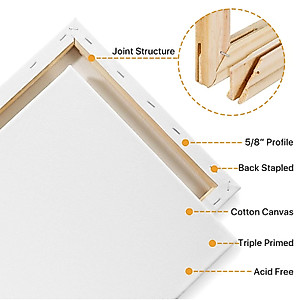 conda 8x10 inch Stretched Canvas for Painting, Pack of 10, 100% Cotton, 5/8 in Profile Blank Stretched Canvas Value Bulk Pack Art White Canvas for Acrylics, Oils Painting