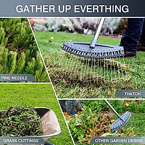 Colwelt Thatch Rake -24 Steel Tines, Dethatching Rake with 54’’ Lightweight Stainless Steel Handle, Yard Dethatcher Rake for Lawn(Pine Needles, Dead Grass, Thatch, Leaves, Mulch)